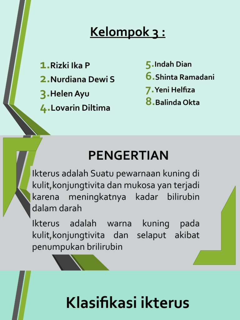 Kelompok 3 Ikterus | PDF