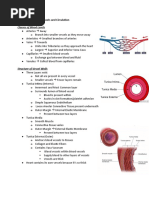 Sacral OMM Diagnosis Techniques | PDF | Anatomical Terms Of Motion ...