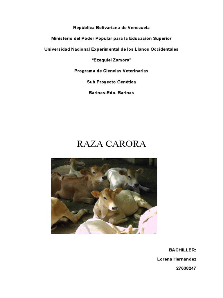 Raza Carora | PDF