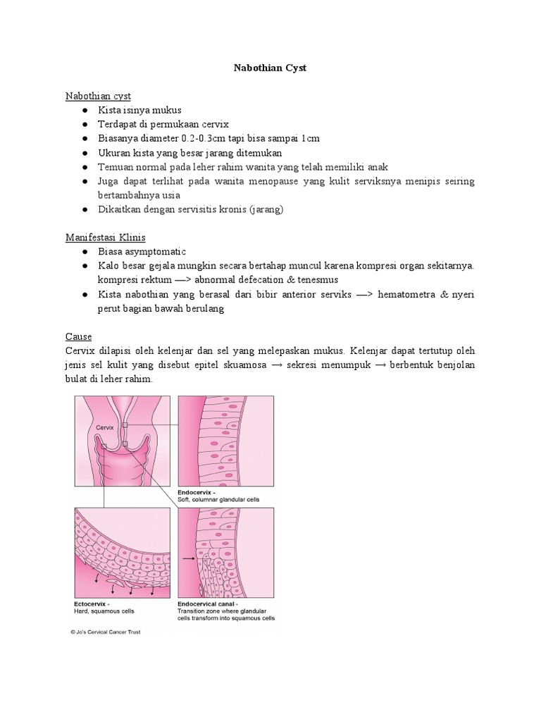 Nabothian Cyst | PDF | Sains & Matematika