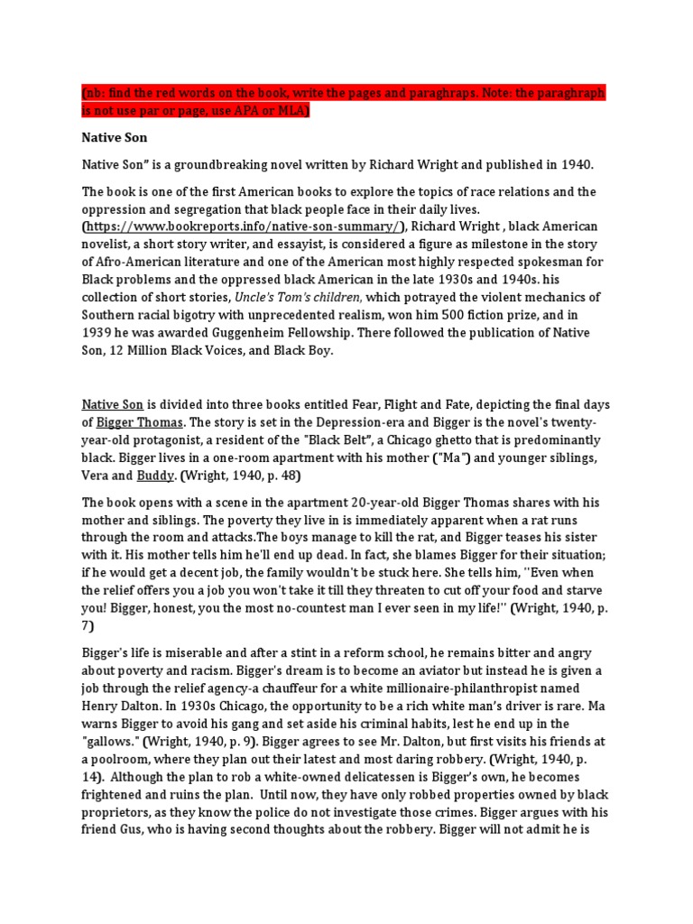 Native Son Book Report | PDF | Crime Thriller