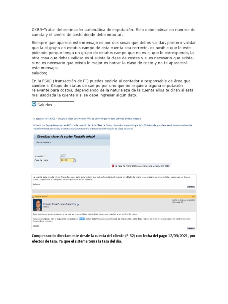 OKB9-Tratar Determinación Automática de Imputación | PDF