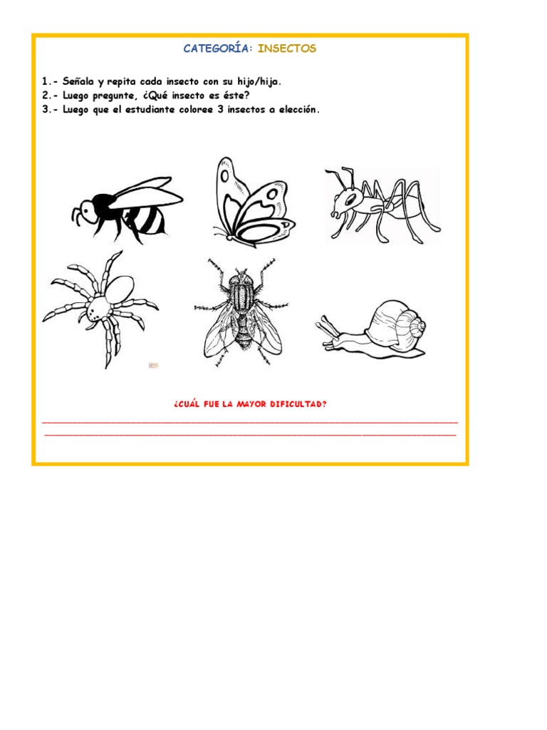 Actividades de Aprendizaje sobre Insectos | PDF