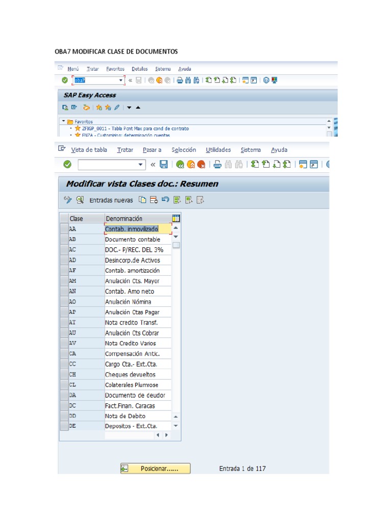 Oba7 Modificar Clase de Documentos | PDF