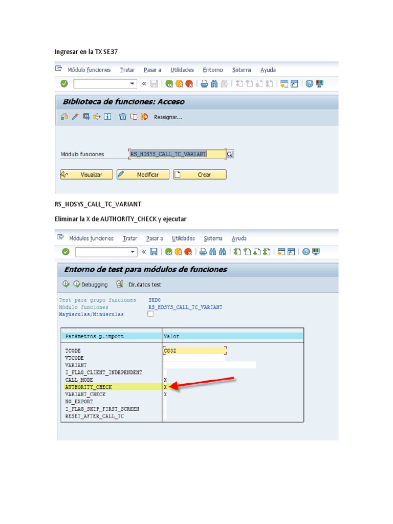 CG3Z - Cargar Archivo en Sub Directorio SAP - AL11 | PDF