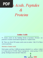 Amino Acids Classification Chart | PDF