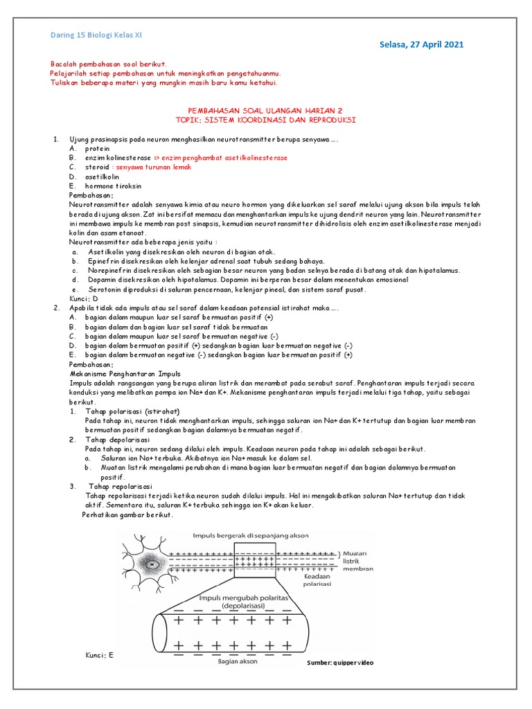 ULANGAN HARIAN 2 - Pembahasan | PDF | Kesehatan Holistik
