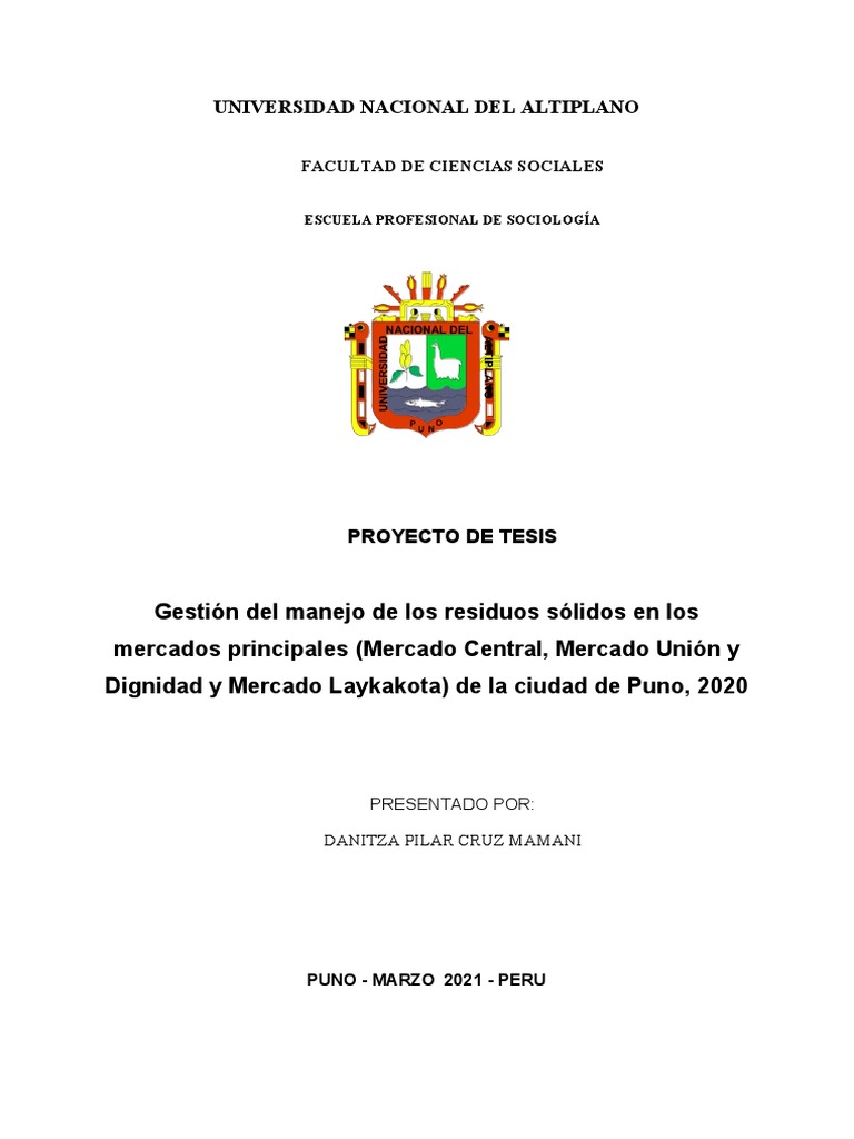 Cruz Mamani Danitza Pilar Viii A Formato Pilar-Proy-Tesis | PDF ...