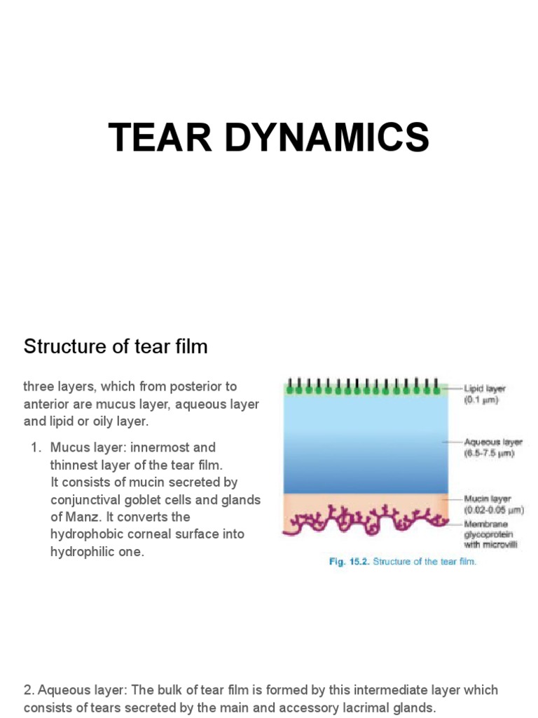 Tear Dynamics | PDF | Facial Features | Anatomy