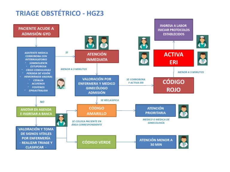 Algoritmo Triage Obstetrico | PDF