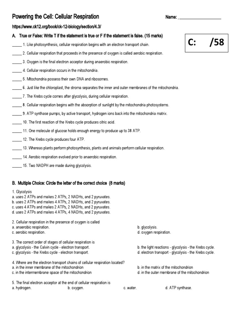 CK12 - Powering The Cell | PDF | Cellular Respiration | Electron ...