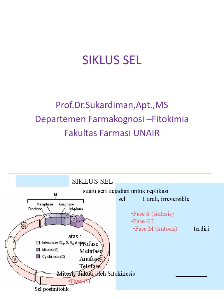 Siklus Sel | PDF