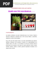 Proyecto de Germinación para Niños | PDF | Plantas | Semilla