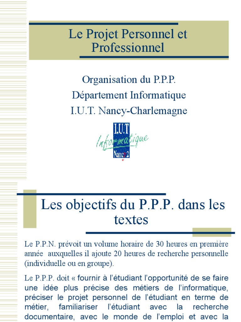 Le Projet Personnel Et Professionnel | PDF | Partenariat public-privé ...