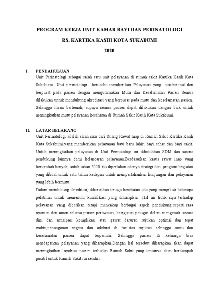 Program Kerja Unit Kamar Bayi Dan Perinatologi 2020 | PDF | Bisnis | Kesehatan Holistik