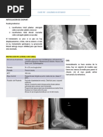 RX de Pie | PDF | Pie | Extremidades (anatomía)