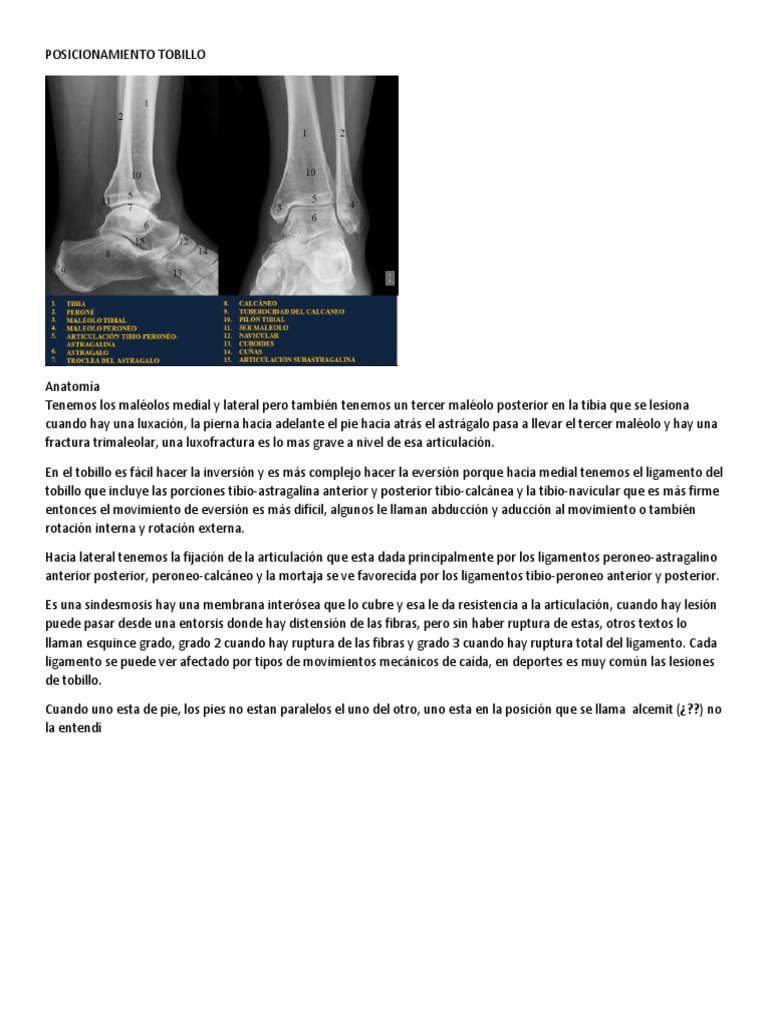 Proyecciones TOBILLO Y PIERNA RX | PDF | Tobillo | Rodilla