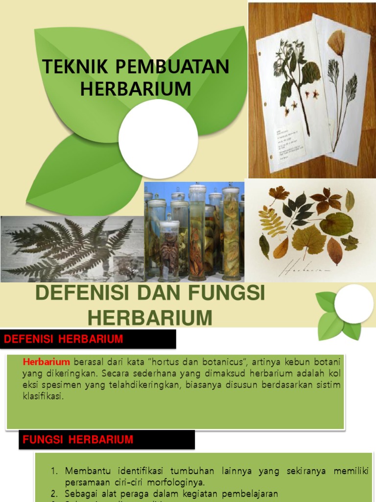 HERBARIUM | PDF