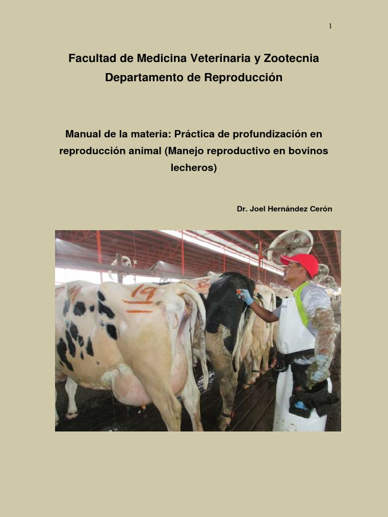 Manual de Practicas de Profundizacion en Reproduccion Animal (Bovinos Lecheros) | PDF | Periodo ...