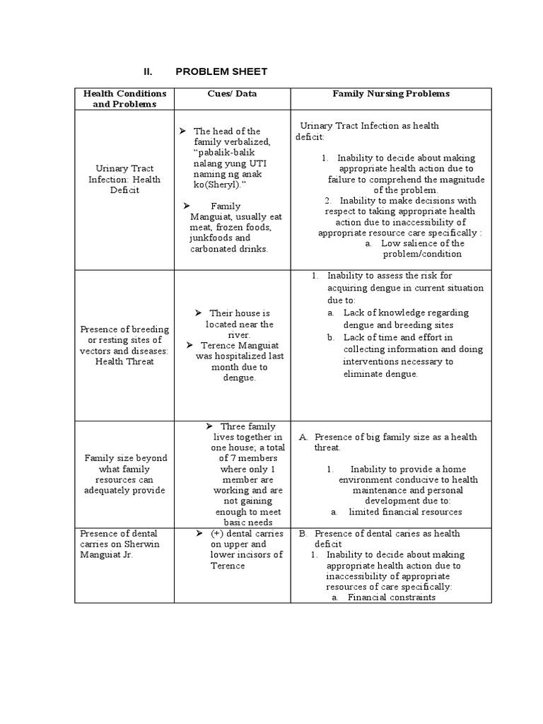 II. Problem Sheet Health Conditions and Problems Cues/ Data Family ...