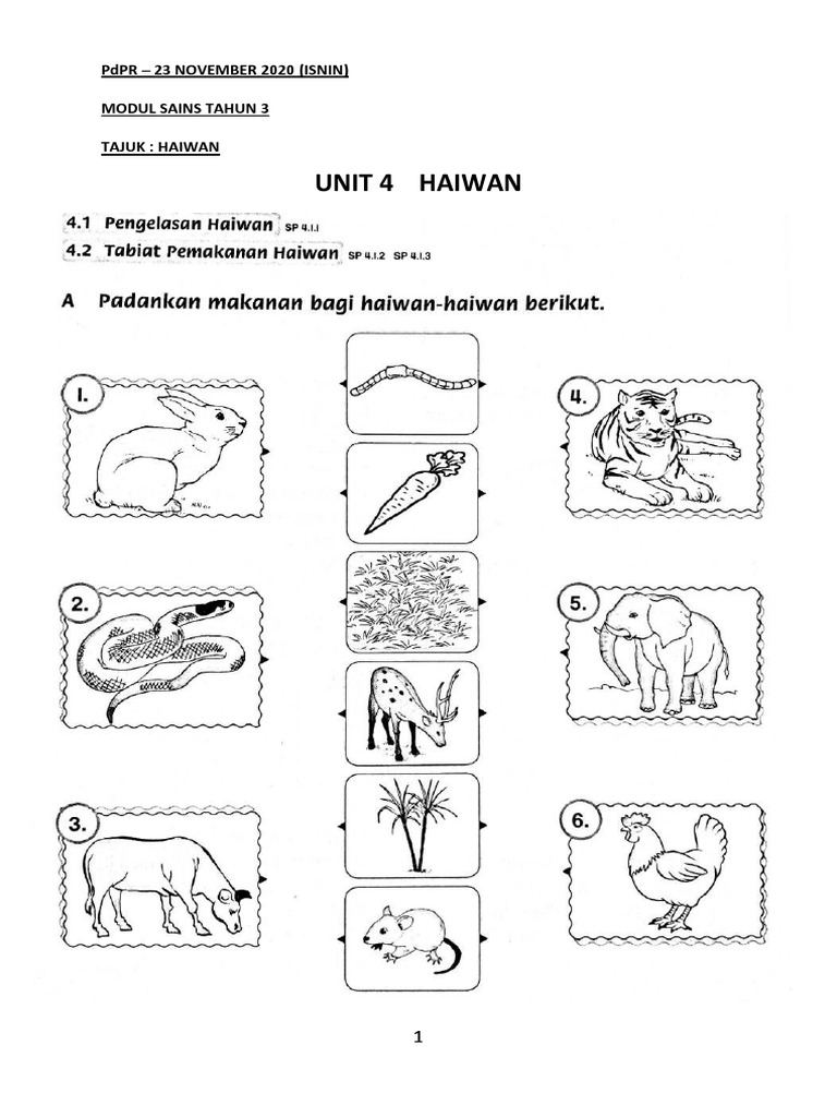 Modul Pdpr Sains Tahun 3 Pdf