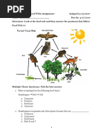 3rd Grade - Food Chain Worksheet | PDF