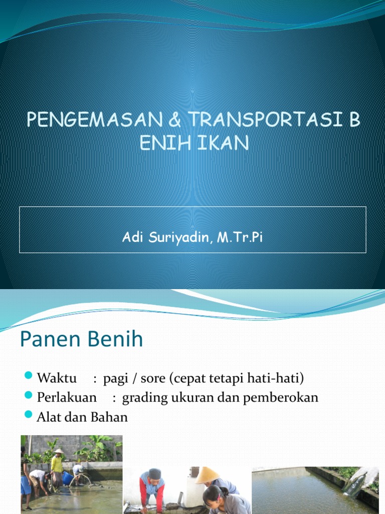 2 Pengemasan Dan Transportasi Benih | PDF