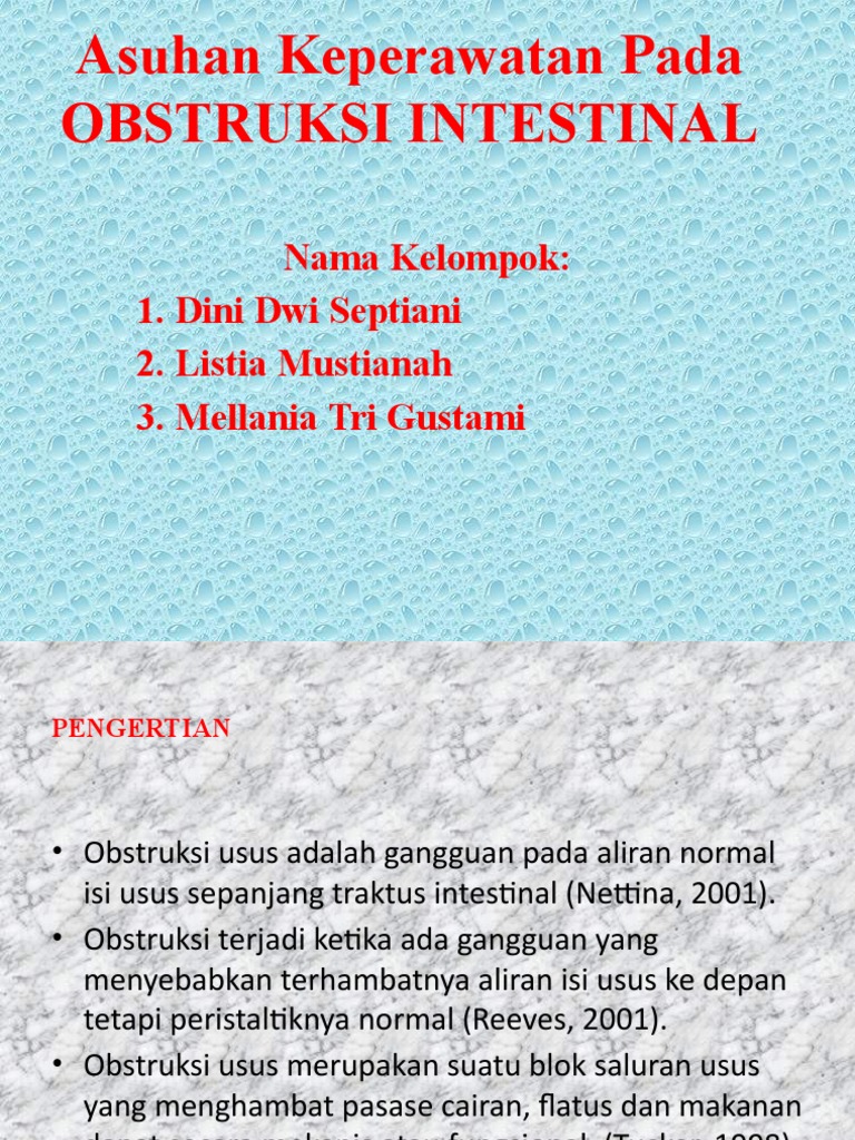 Asuhan Keperawatan Pada OBSTRUKSI INTESTINAL | PDF