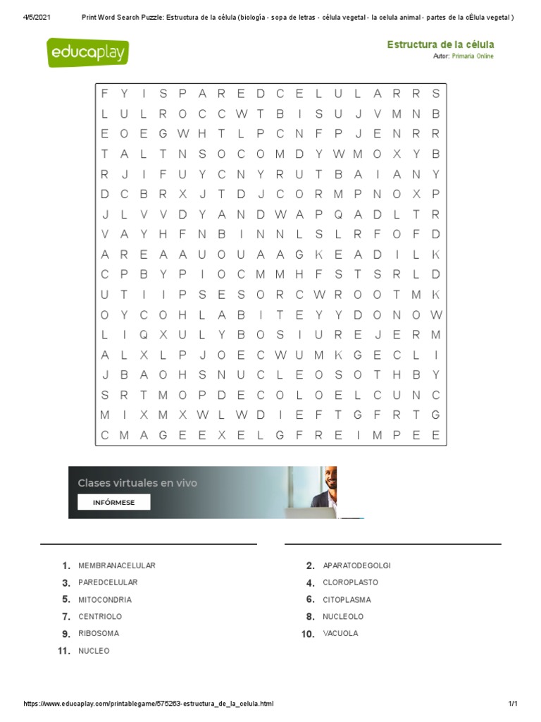 Sopa de letras: partes de la célula | PDF | Ribosoma | Organismos