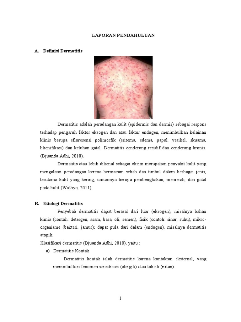 Laporan Pendahuluan Tentang Dermatitis Jenis Penyebab Gejala Klinis