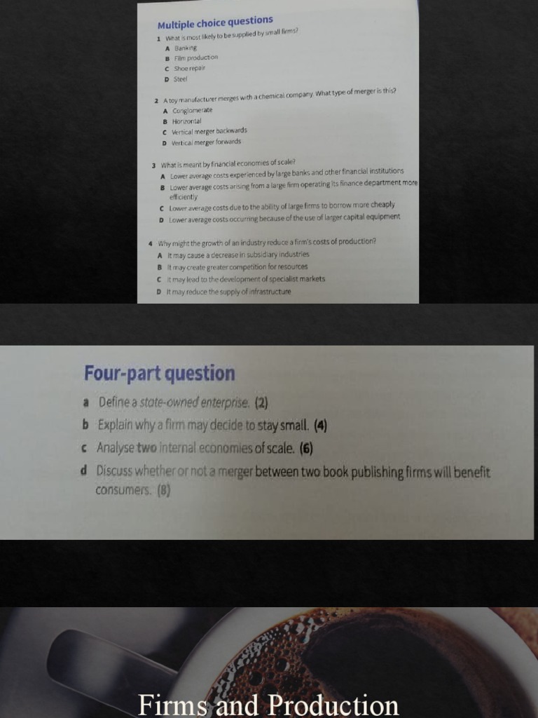 Firms and Production | PDF | Labour Economics | Factors Of Production