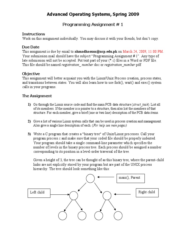 Programming Assignment 1 Pdf System Software Computing 