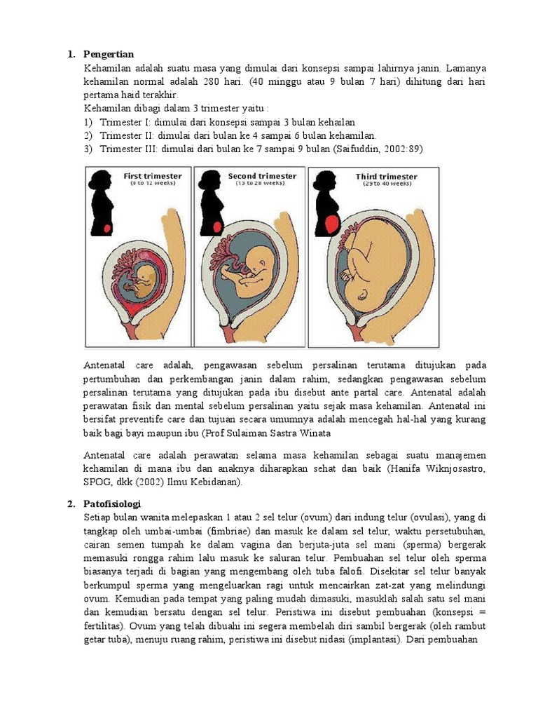 LP Ibu Hamil | PDF | Kesehatan Holistik
