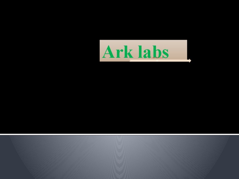 Ark Labs | PDF