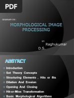 Morphological Processing | PDF | Image Segmentation | Pixel