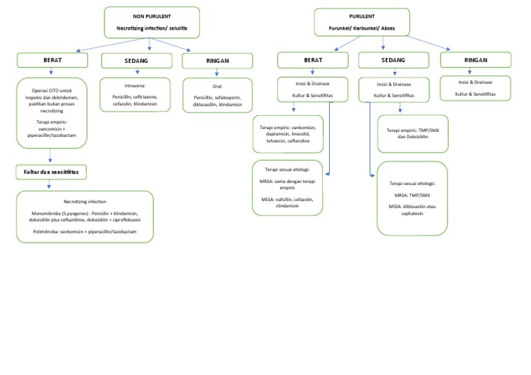 Ssti Tatalaksana Dan Diagnosis | PDF