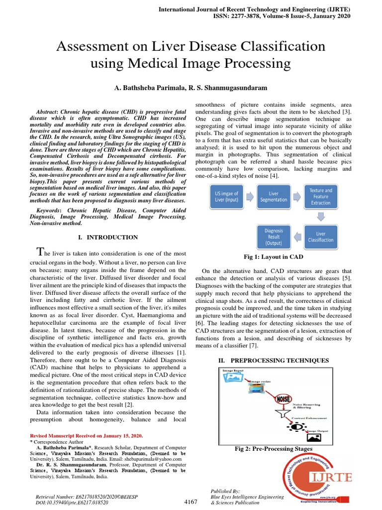 Assessment On Liver Disease Classification Using Medical Image ...