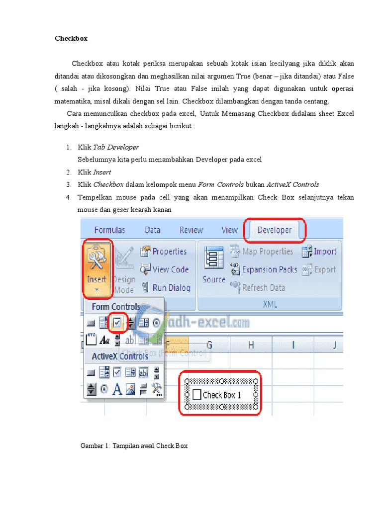 Cara Membuat Checkbox di Excel | PDF
