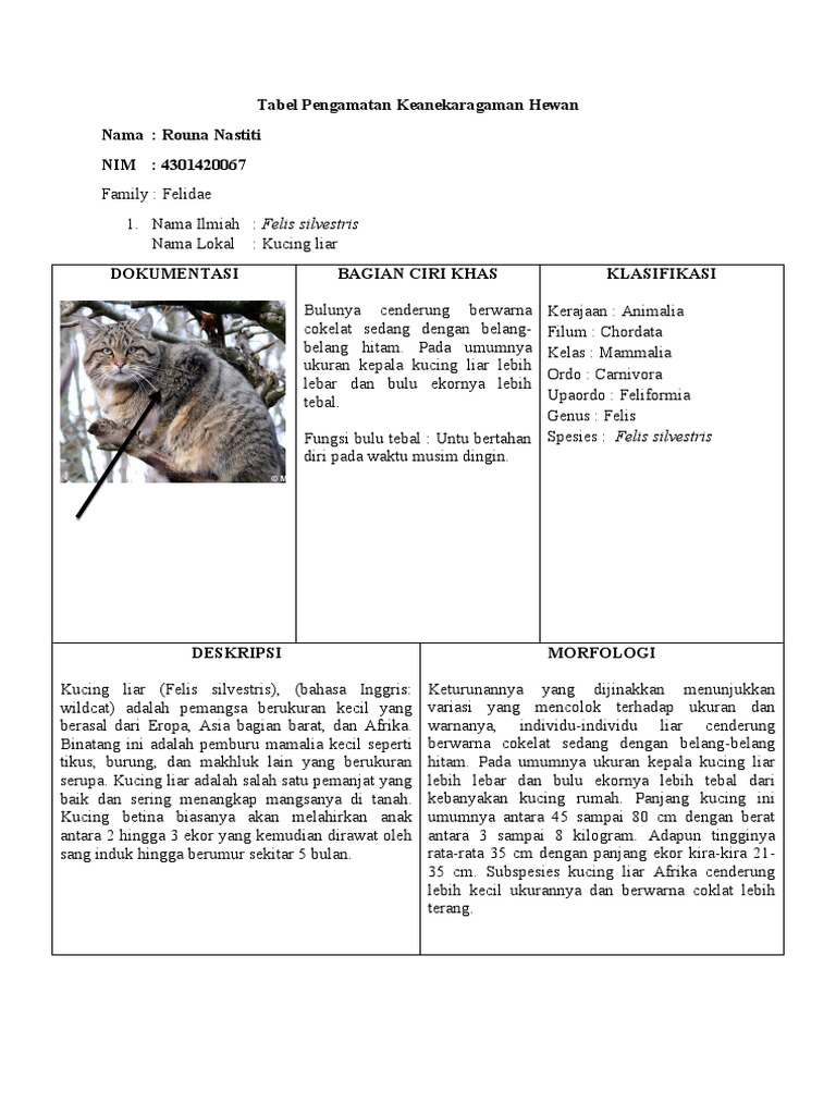 Tabel Pengamatan Hewan | PDF