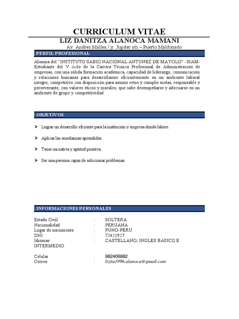 Curriculum Vitae Danitza | PDF | Plan de estudios | La naturaleza humana