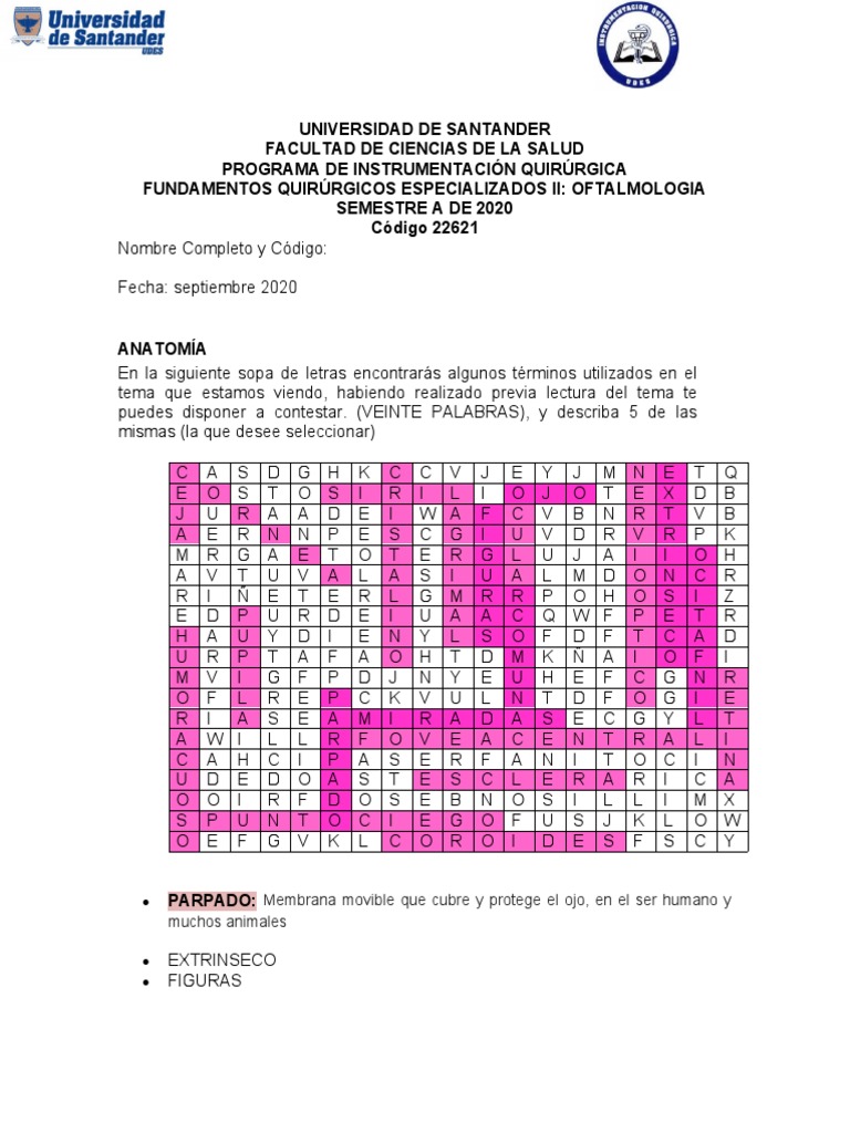 Guia 2 Oftalmo | PDF | Percepción visual | Ojo