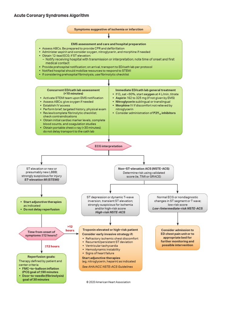 Algorithm-ACLS ACS 200806 1 | PDF | Myocardial Infarction | Medical ...