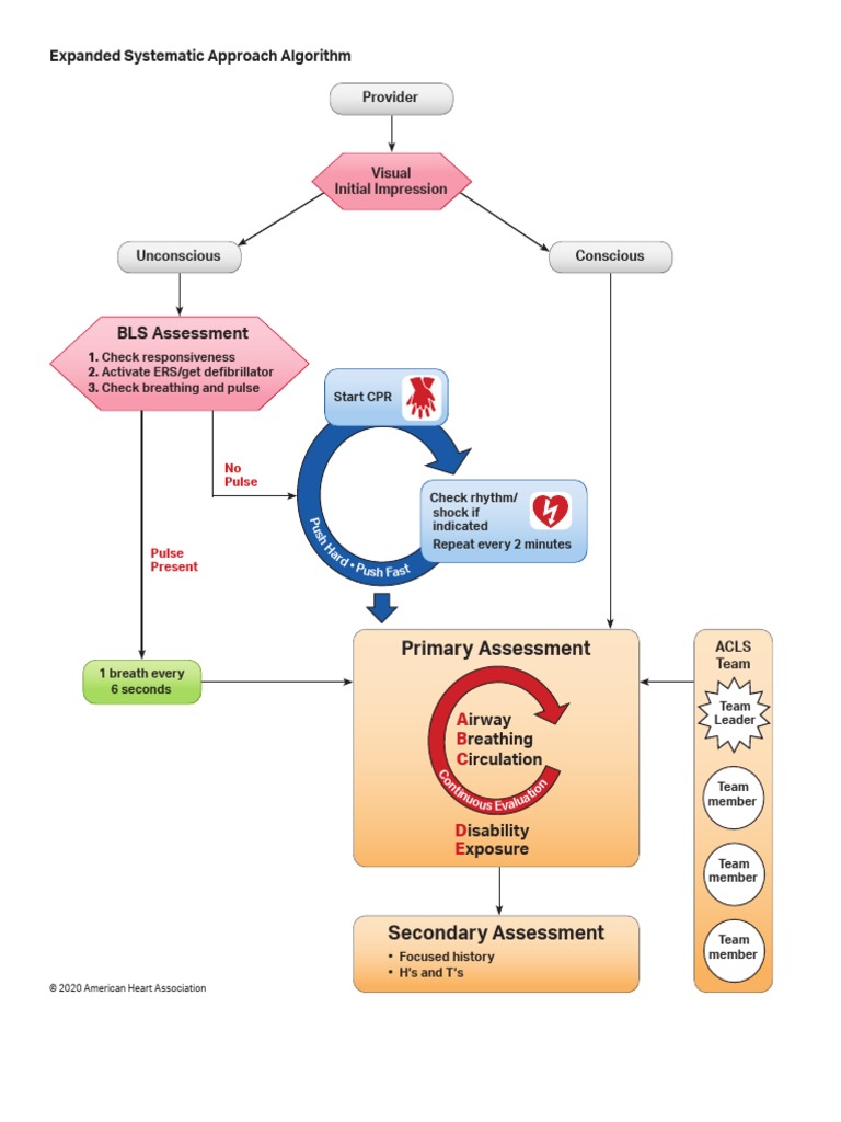 Algorithm-ACLS Expanded Systematic Approach 200623 | PDF | Medical Procedures | Heart