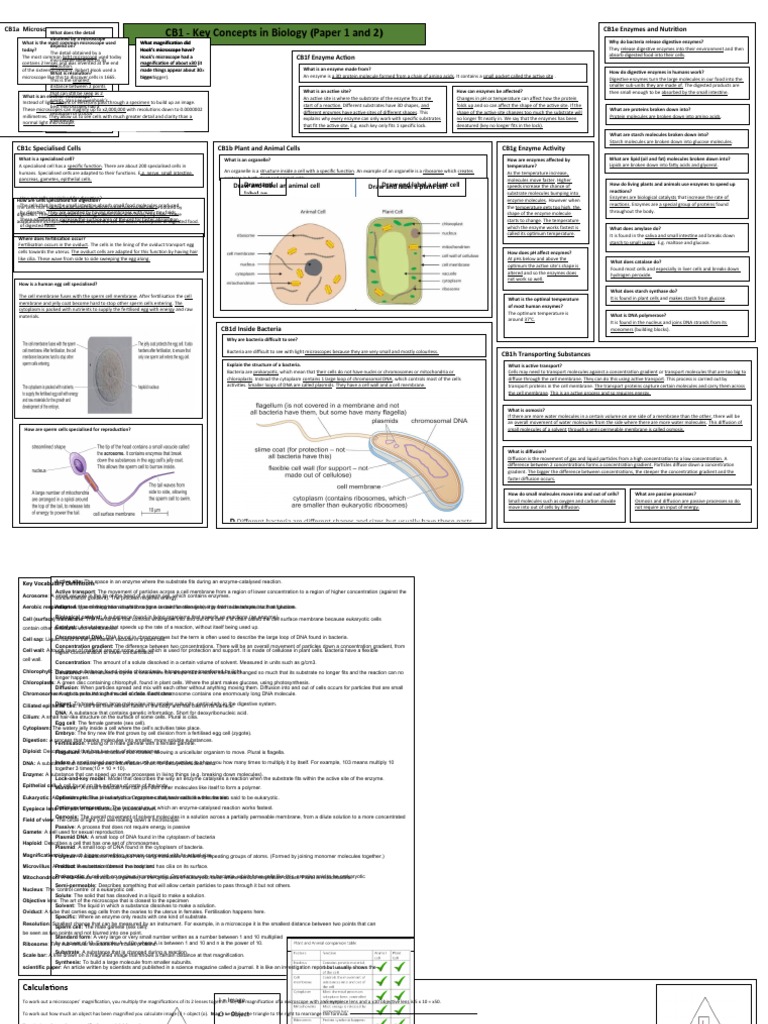 CB1 - Key Concepts in Biology (Paper 1 and 2) | PDF | Cell (Biology ...