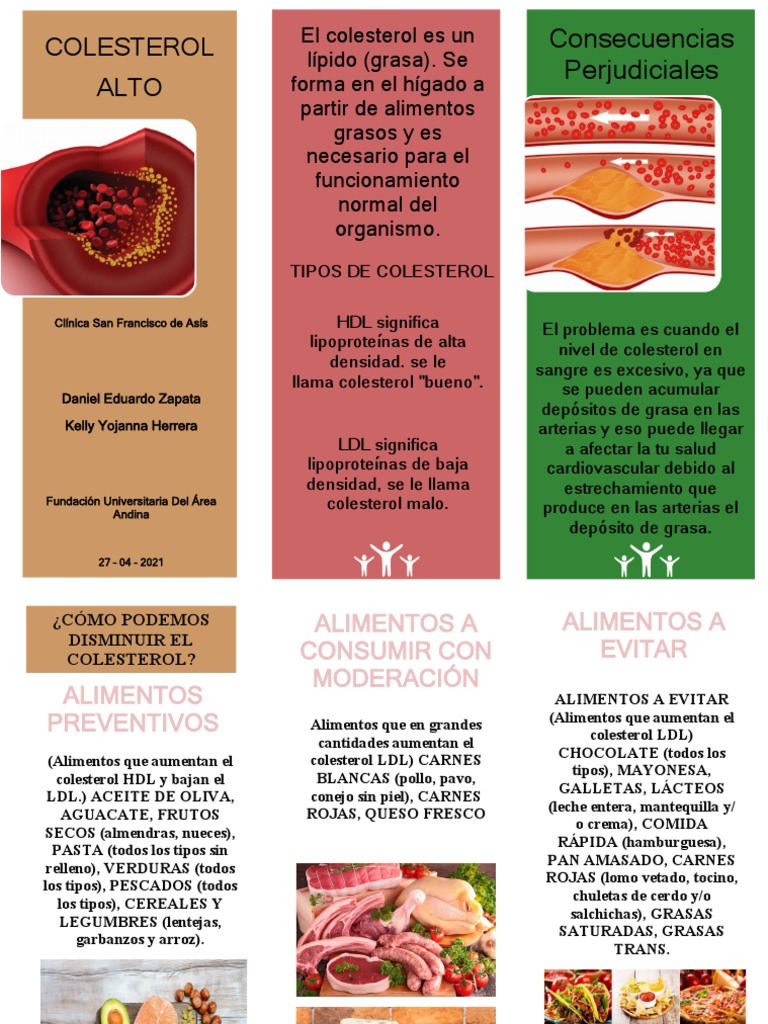 Folleto Colesterol | PDF | gordo | Colesterol