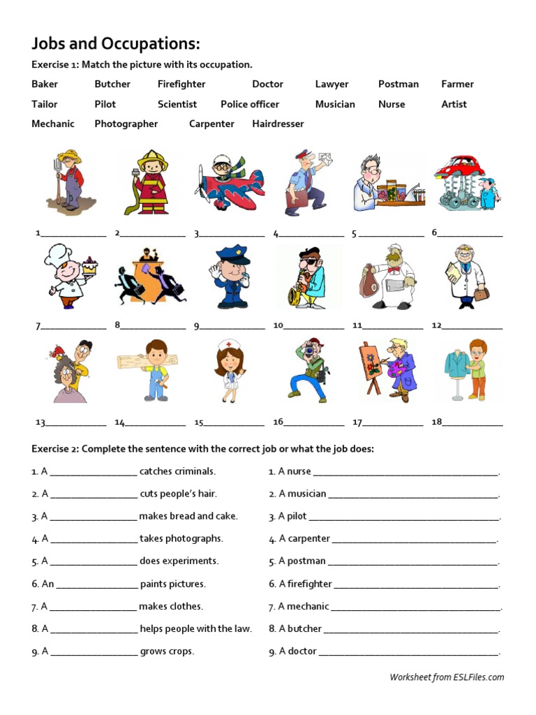 Jobs and Occupations Worksheet | PDF