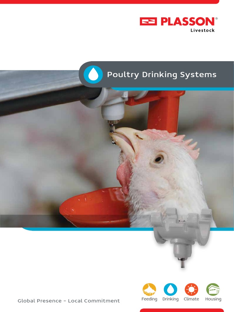 Poultry Drinking Systems Guide | PDF | Pipe (Fluid Conveyance) | Valve