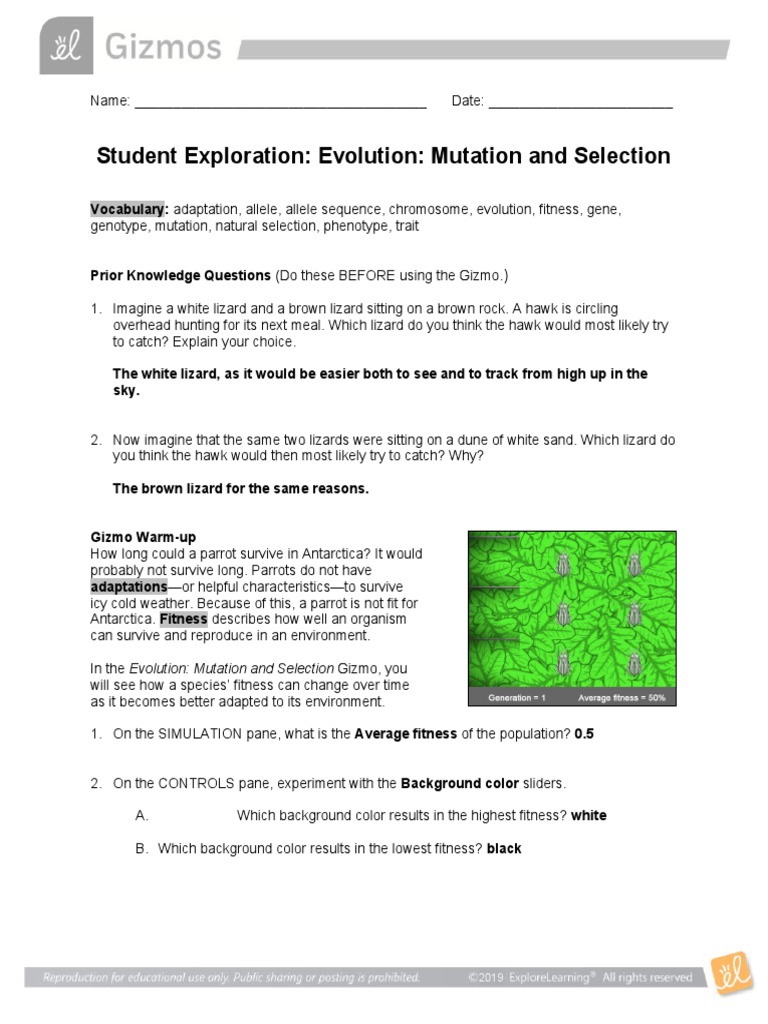 Evolution: Mutation and Selection Guide | PDF | Fitness (Biology ...