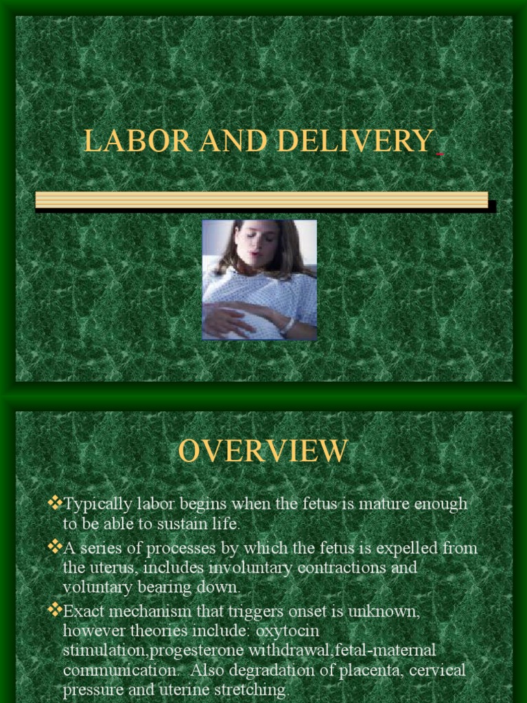 Labor and Delivery - 1 | PDF | Childbirth | Pelvis