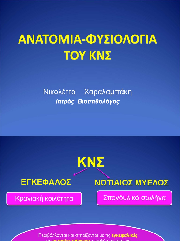 ανατομια ΚΝΣ | PDF